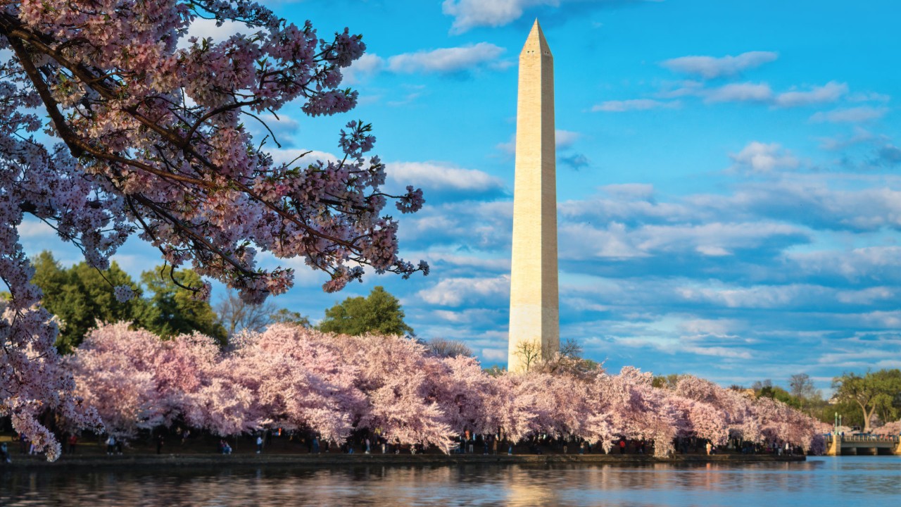 Beyond Dynamic Competition