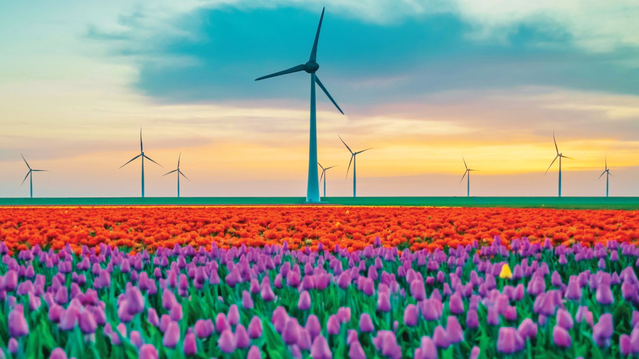 Regulatory Risk as a Cost Driver of the Energy Transition